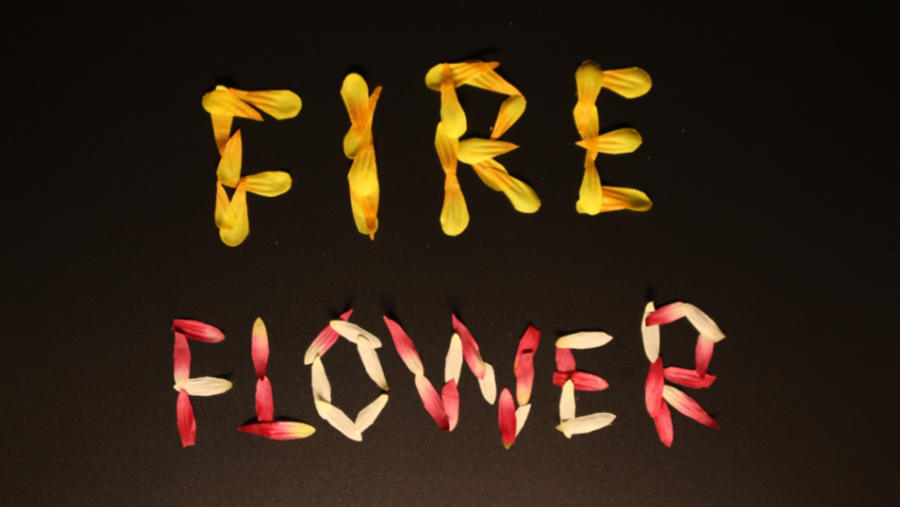 Fire Flowers - Hanabi 花火 | Cliff Creativity